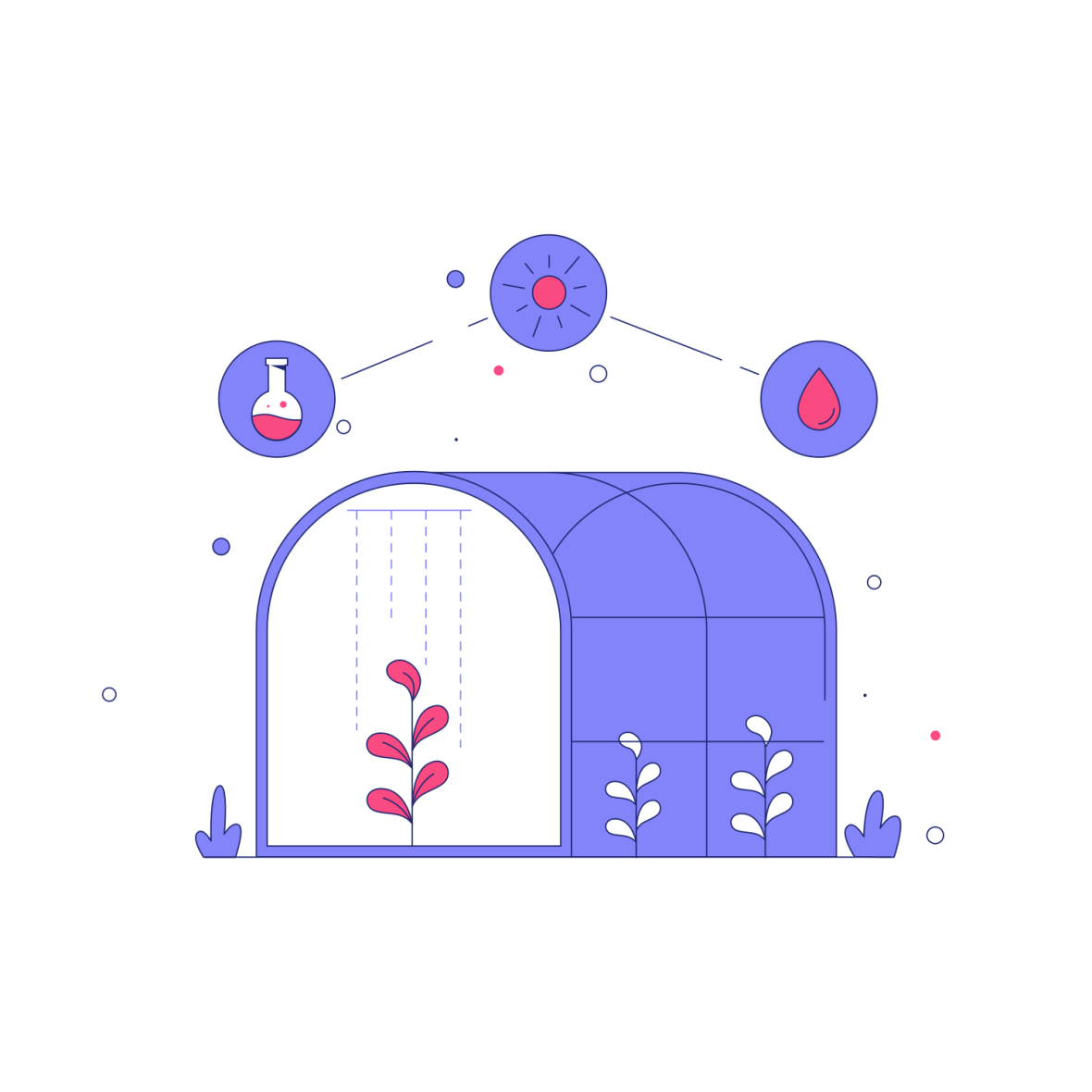 Greenhouse Animated Illustrations | Creattie Greenhouse Animated Illustrations | Creattie